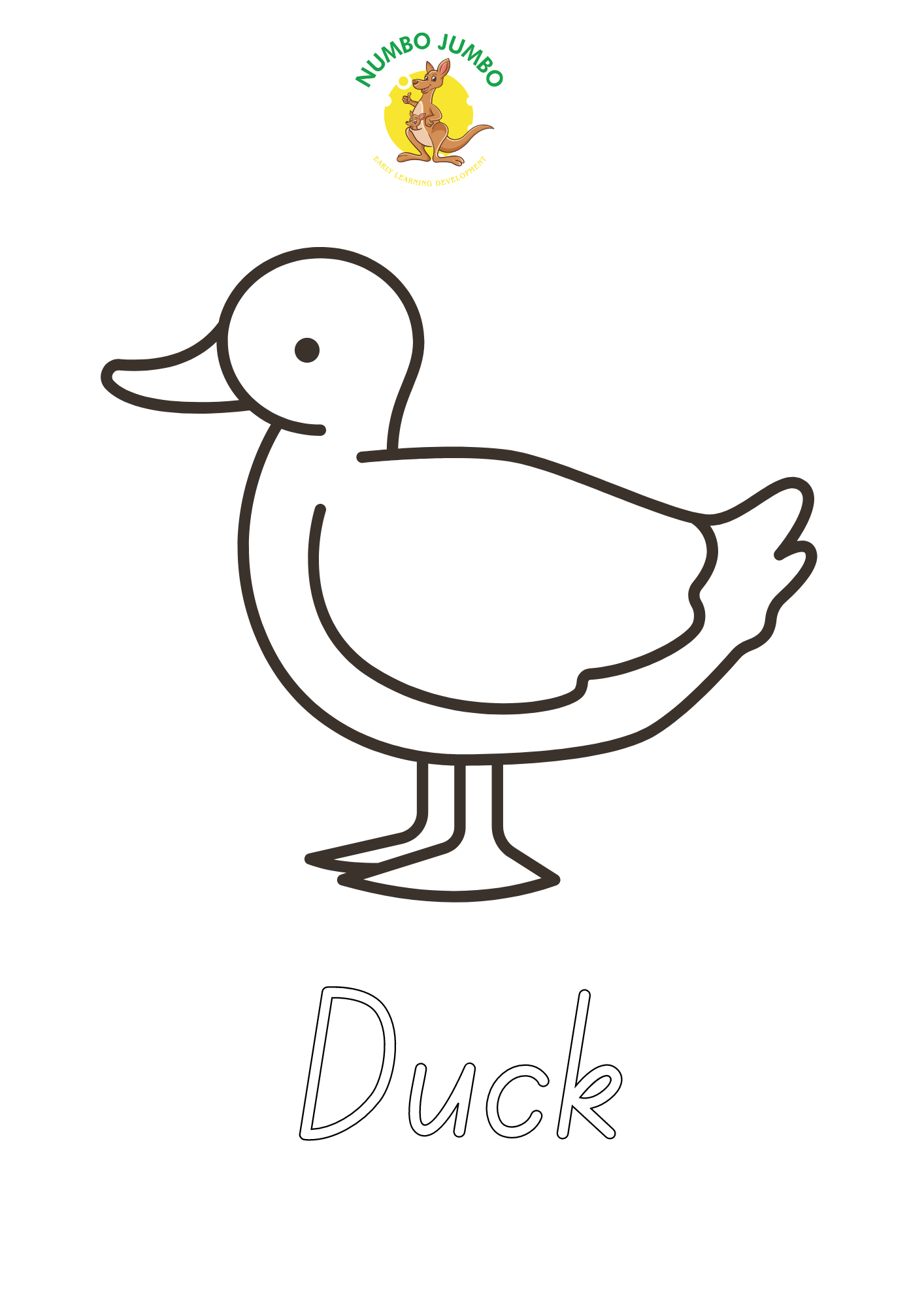 Duck